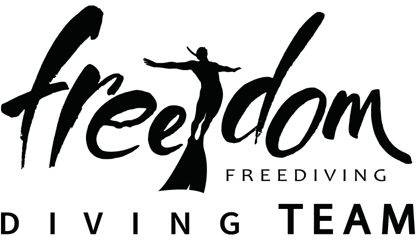 커리큘럼 - 프리덤다이브(Freedom Dive)